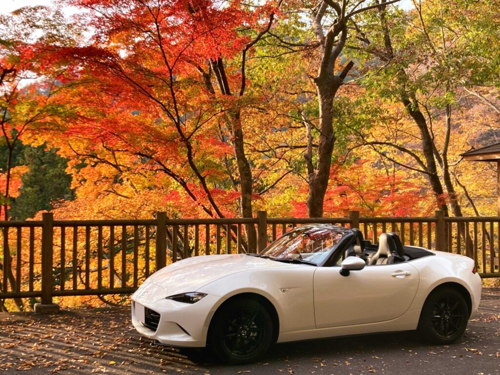 MAZDA ND ROADSTER Lumbar Support DIY